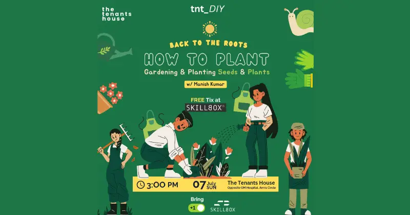 tnt_DIY | How To Plant